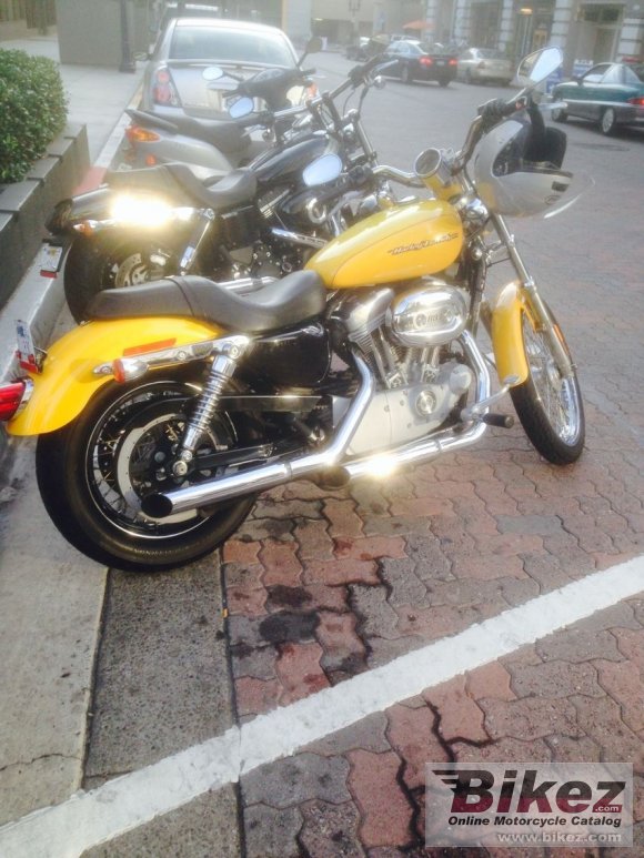 Harley-Davidson XL 883 C Sportster Custom gallery